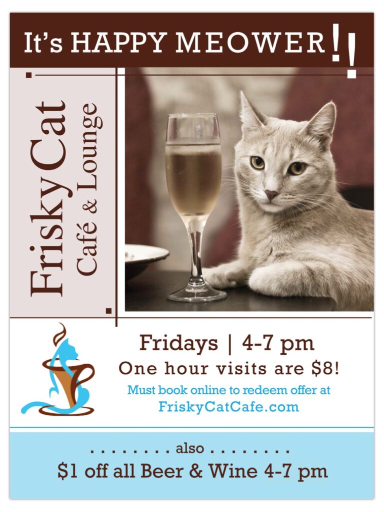 Events Archive - Frisky Cat Cafe