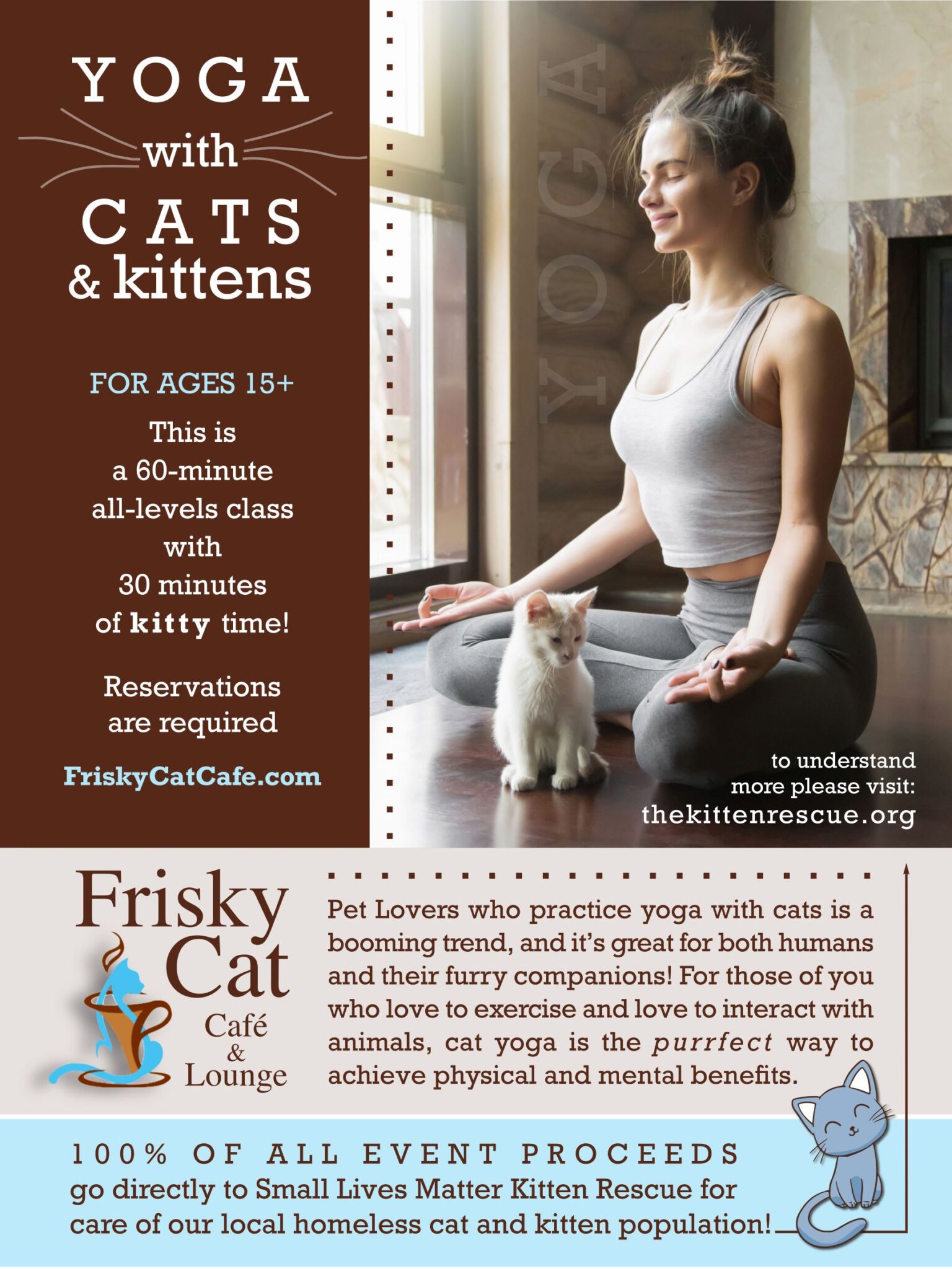 Events Archive - Frisky Cat Cafe